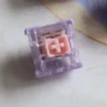 Viola Tricolor L Switch Sample - Mechbox Ltd