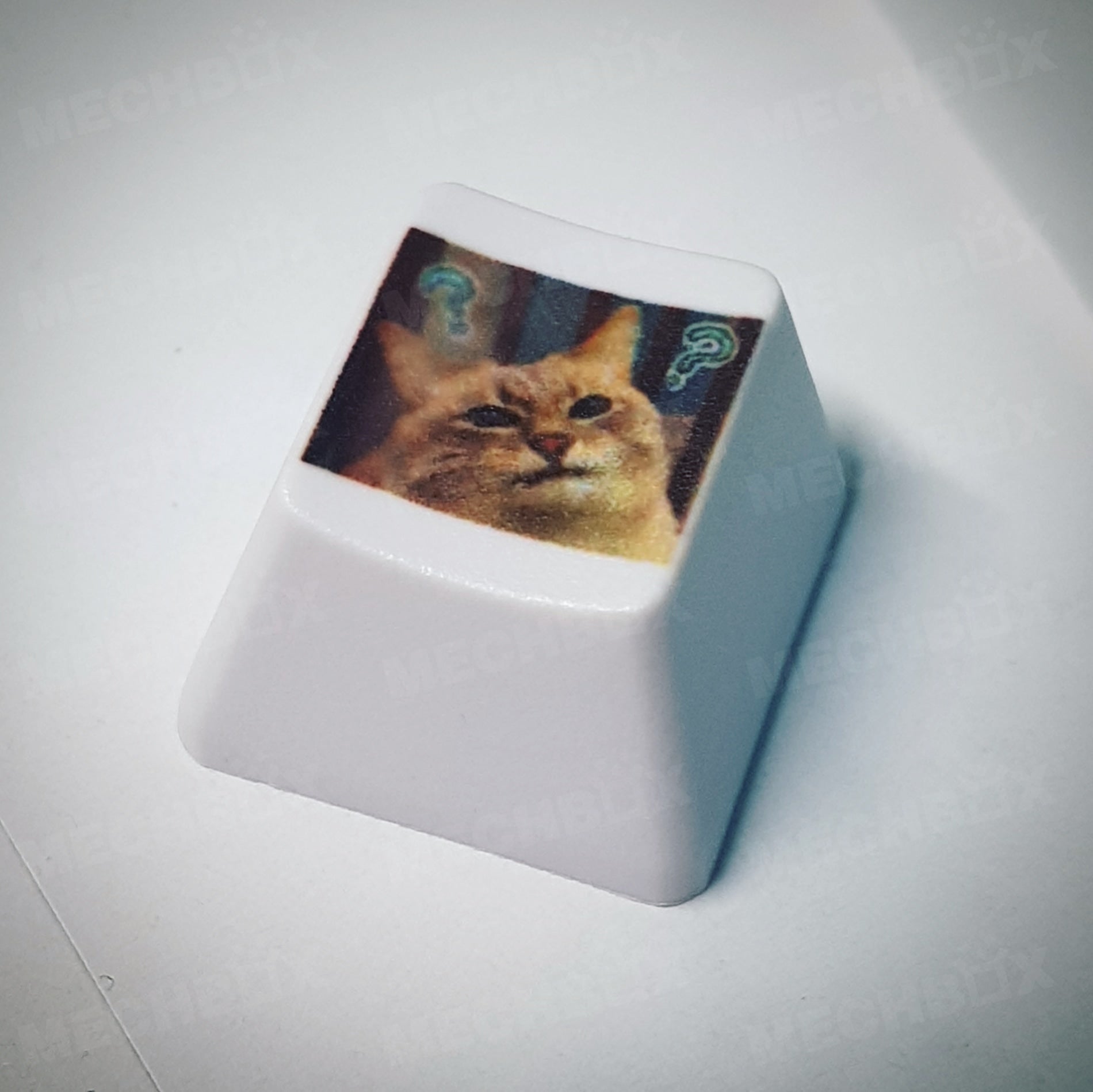 Custom Keycap Printing - Mechbox Ltd