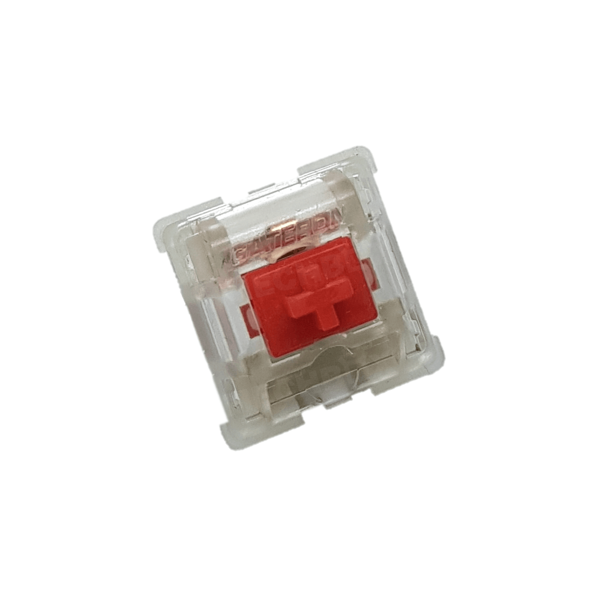 Gateron Silent Red Switch Sample (Milk Bottom) - Mechbox Ltd